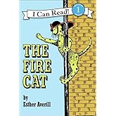 Cat in the Box (easy reader): Michel, Dana, Rosalind Welcher: Amazon ...