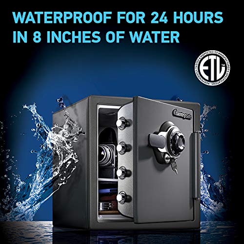 SentrySafe Fireproof and Waterproof Steel Home Safe with Dial ...
