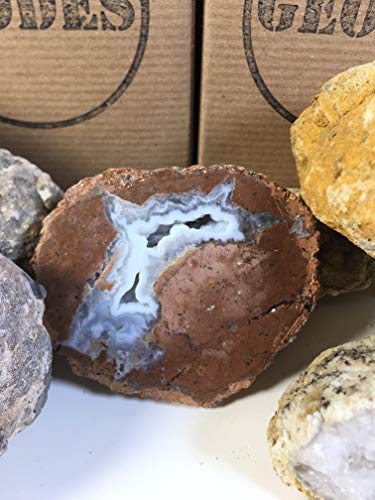 Combo Pack - 13 Large Break Open Your Own Geodes - Mexican Trancas ...