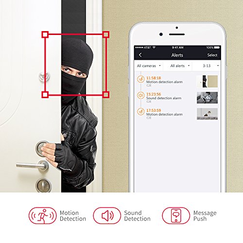 Foscam C2E Full HD 1080P Wifi Security IP Surveillance Camera with ...