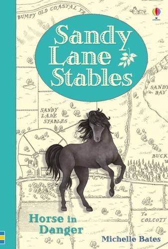 Horse in Danger (Sandy Lane Stables) Book Review and Ratings by Kids ...