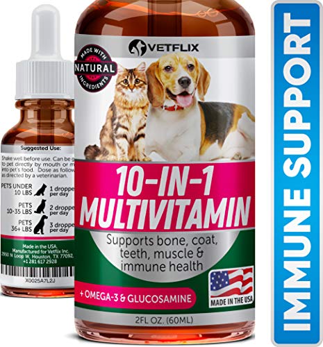 The 5 Best Omega-3 Supplements for Dogs - Dogtime