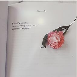 Amazon.com: Dear Moon (9781539553151): Frances Ivy: Books