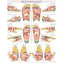Reflexology-Laminated: 9781423223078: Medicine & Health Science Books ...