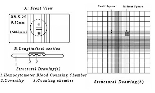 Hemocytometer Blood Counting Chamber with 100 Cover Slips Hemacytometer ...