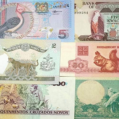 IMPACTO COLECCIONABLES World Banknotes Collection – Banknote Collection ...