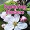 Exploring Flowers (First Step Nonfiction: Let's Look at Plants ...