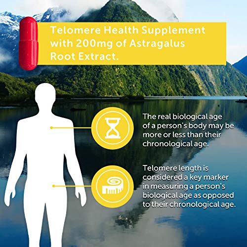 Puraz Telomere Supplements with Potent Astragalus Root Extract for ...