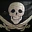 Amazon.com : US Flag Store Printed Polyester Pirate Jack Rackham Flag ...