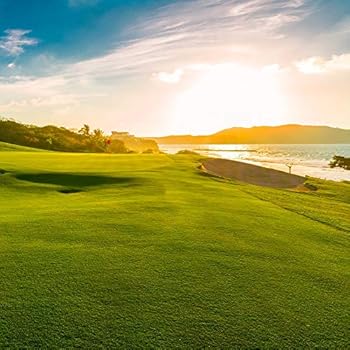 Amazon.com : Princess 77 Bermuda Grass Seed - 1 Lb. : Garden & Outdoor