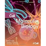 Molecular Biology made simple and fun, 4th edition: David P. Clark ...