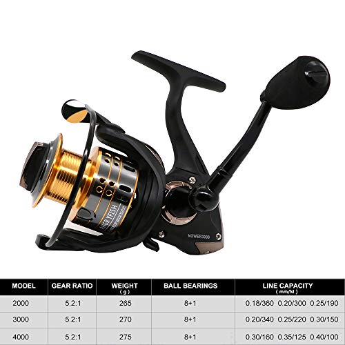 ANGRYFISH 8+1BB Collapsible Spinning Fishing Reel with 5.2:1 Gear Ratio ...