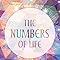The Numbers of Life: The Hidden Power in Numerology: Kevin Quinn Avery ...