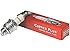 Amazon.com: Champion RJ17LM-2pk Copper Plus Small Engine Spark Plug ...