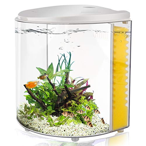 YCTECH 1.4 Gallon Aquarium Starter Kits Betta Fish Tank Goldfish Tank ...