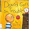David Gets in Trouble (David Books [Shannon]): Shannon, David, Shannon ...