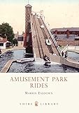 Lost Amusement Parks of New York City: Beyond Coney Island: Wesley ...