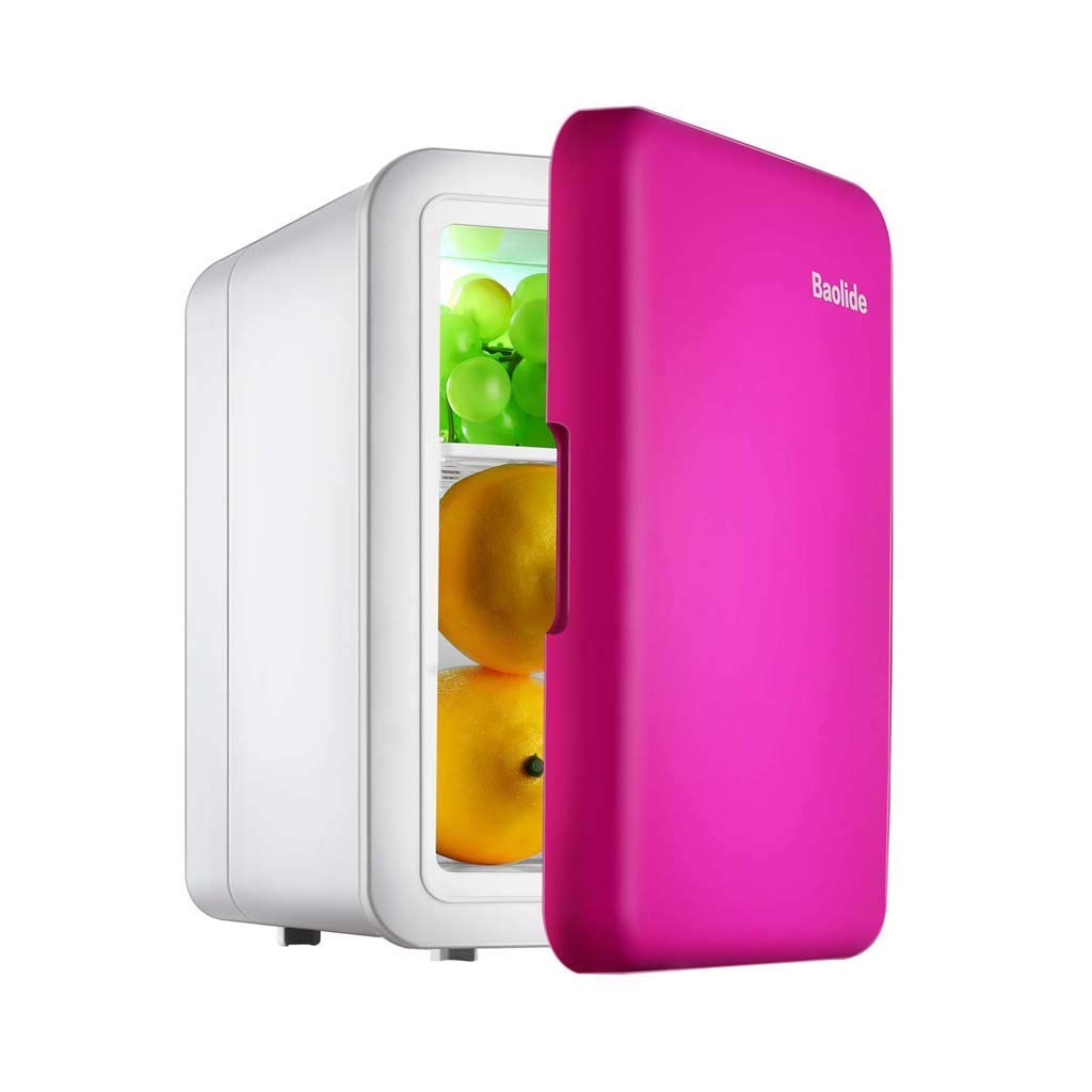 Unknow Mini Fridge Electric Cooler And Warmer 4 Liter Ac | Desertcart INDIA