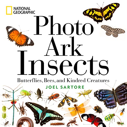 Amazon.com: National Geographic Photo Ark Insects: Butterflies, Bees ...
