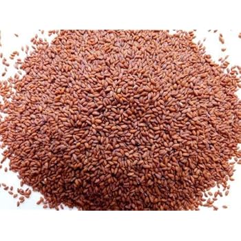 Amazon.com : Garden Cress Seeds 500 gram (halim aliv) Lepidium Sativum ...
