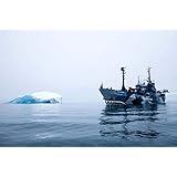 Cookin' Up a Storm: Sea Stories and Vegan Recipes from Sea Shepherd's ...