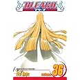 Amazon.com: Bleach, Vol. 36: 9781421533131: Kubo, Tite: Books