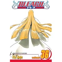 Amazon.com: Bleach, Vol. 35: 9781421533124: Kubo, Tite: Books
