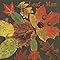 Leaf Man: Ehlert, Lois, Ehlert, Lois: 9780152053048: Amazon.com: Books
