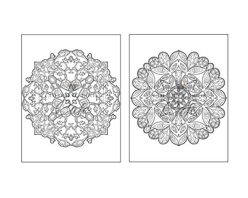 Gemstone Mandalas: An Adult Coloring Book Featuring the World's Most ...