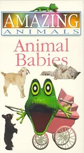 Amazon.com: Animal Babies [VHS]: Amazing Animals: Movies & TV