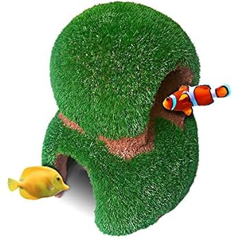 Amazon.com : Small Fish Hideout Betta Cave Aquarium Decorations Natural ...