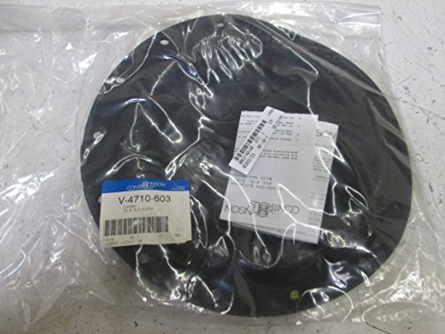 Johnson Controls V-4710-603 Modular Diaphragm for V-500 Series Valve ...