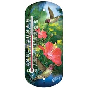 Amazon.com : Springfield 90166 Hummingbird Tube Thermometer ...