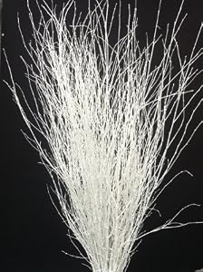 Decorative Coloured Birch Twigs and branches White With Multicolour ...