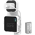 Amazon.com: 256GB Blink USB Flash Drive and Blink Sync Module 2 Mount ...