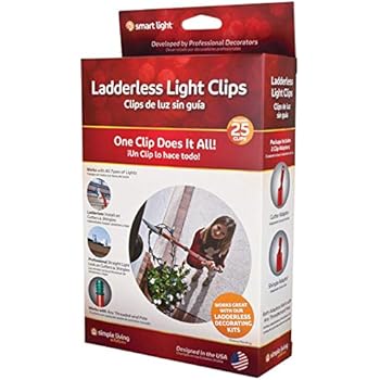 Amazon.com: Dyno Seasonal Solutions 50 Count No Ladder Gutter and ...