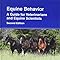 Equine Behavior: A Guide for Veterinarians and Equine Scientists ...