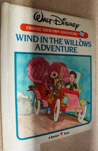 Walt Disney Choose Your Own Adventure Book Series