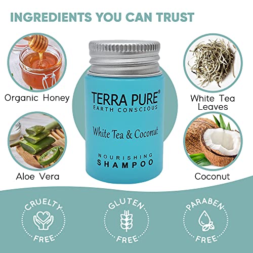 Terra Pure White Tea & Coconut Shampoo, Travel Size Hotel Amenities, 1 ...