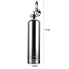 CO2 Generator System Carbon Dioxide Reactor Kit with Auto Valve and ...