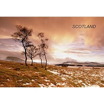 Amazon.com: UK United Kingdom Scotland Fridge Refrigerator Magnets (1 ...