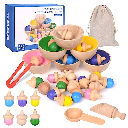 Montessori Wooden Color Sorting Toys - Sensory Toys Matching Game with ...