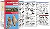 Edmonton Birds: A Folding Pocket Guide to Familiar Species (Wildlife ...