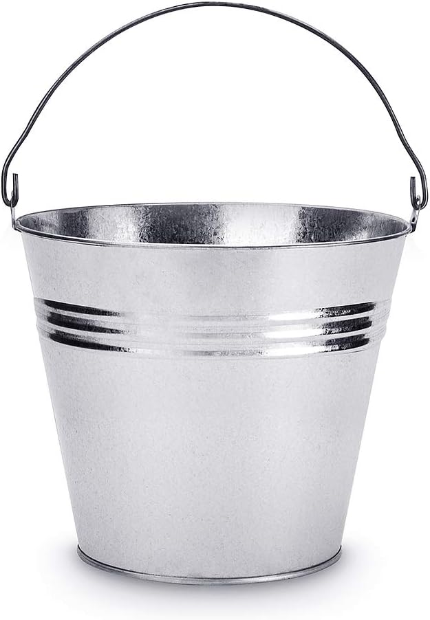 Wassereimer Zinkeimer 15 Liter - 2 Stück: Amazon.de: Garten