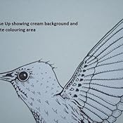 Birdtopia: Colouring Book (Colouring Books): Amazon.co.uk: Fletcher ...