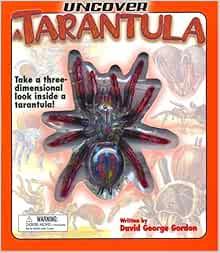 Uncover a Tarantula: Take a Three-Dimensional Look Inside a Tarantula ...