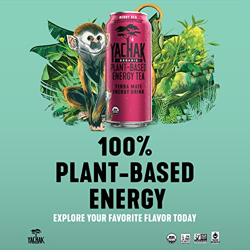 Yachak Yerba Mate Drink, Berry Red, 16 Fl Oz Cans, Pack of 12 ...