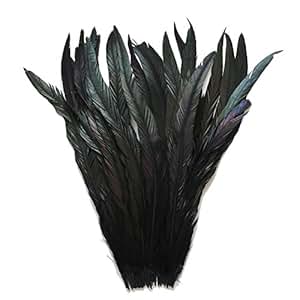Amazon.com: 25pcs 12-14" Bleach-Dyed Rooster Coque Tail Feathers, 16 ...