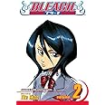 Bleach, Vol. 2: Kubo, Tite, Kubo, Tite