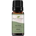 Amazon.com : Plant Therapy Tea Tree Essential Oil 100% Pure, Undiluted ...